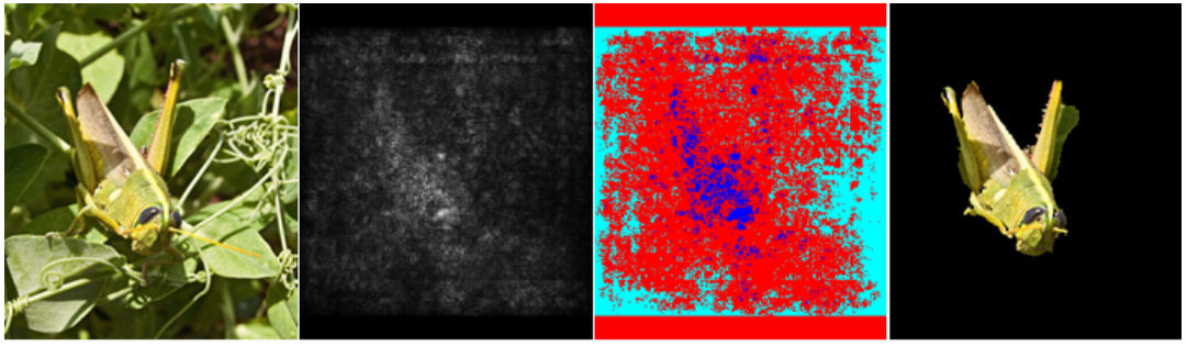 Paper Review Deep Inside Convolutional Networks Visualising Image Classification Models And